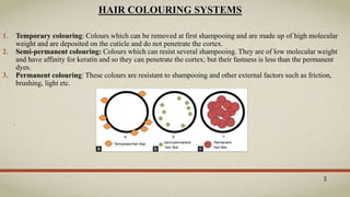 Natural hair colorants | PPTX