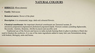 Natural hair colorants | PPTX