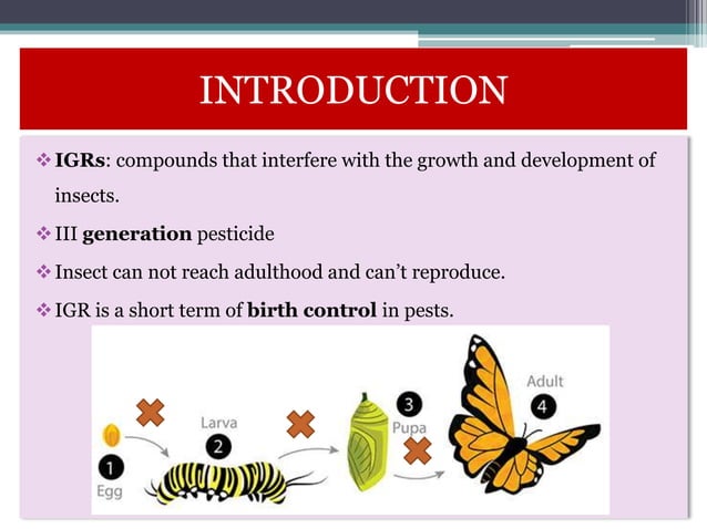 INSECT_GROWTH_REGULATORS.pptx