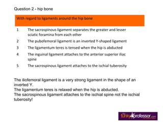 Exam Questions Hip Bone | PPT