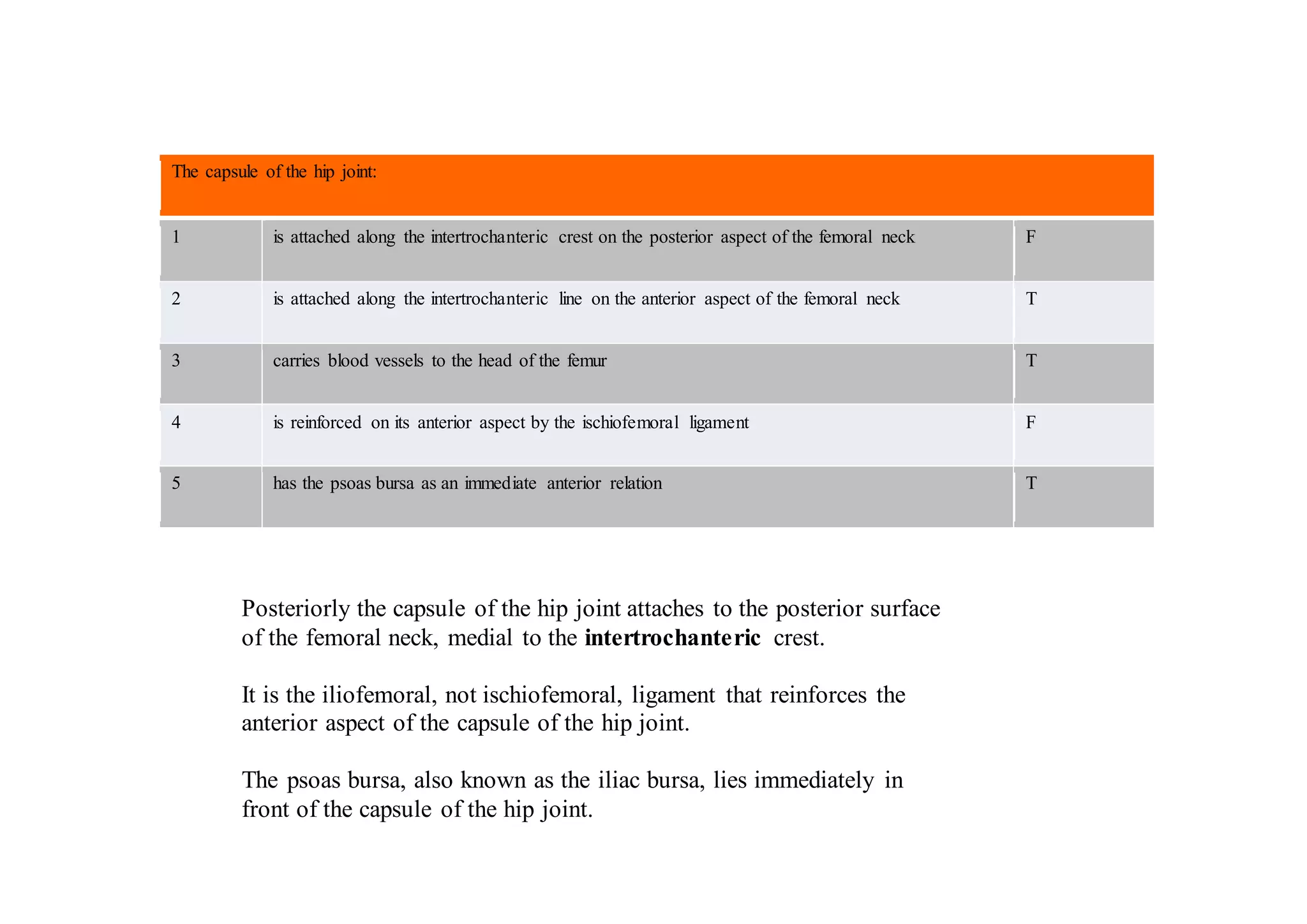 Questions Hip Joint and Pelvic Gateways | DOCX