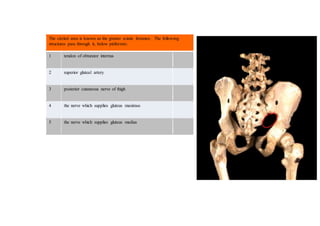 Questions Hip Joint and Pelvic Gateways | PPT