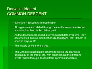 Theory of Evolution | PDF
