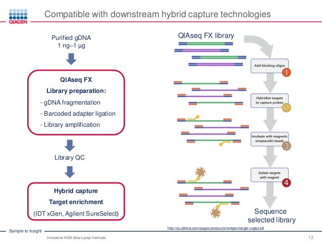 Innovative NGS Library Construction Technology