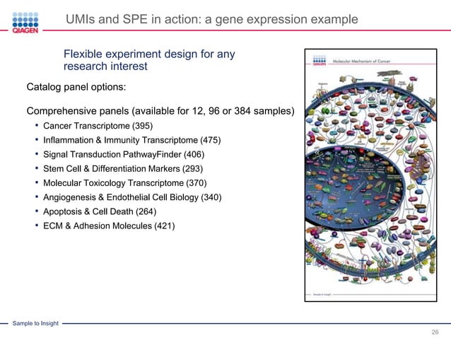 QIAseq Targeted DNA, RNA and Fusion Gene Panels | PPT
