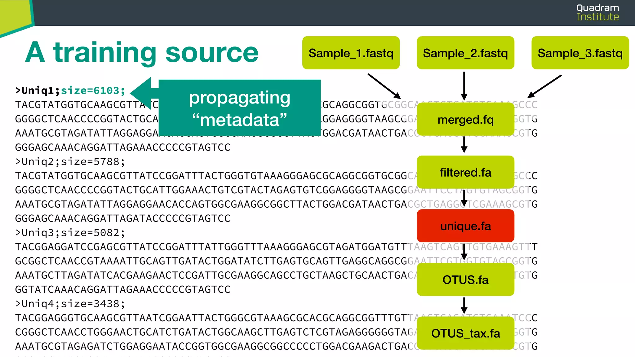 Flash introduction to Qiime2 -- 16S Amplicon analysis | PDF