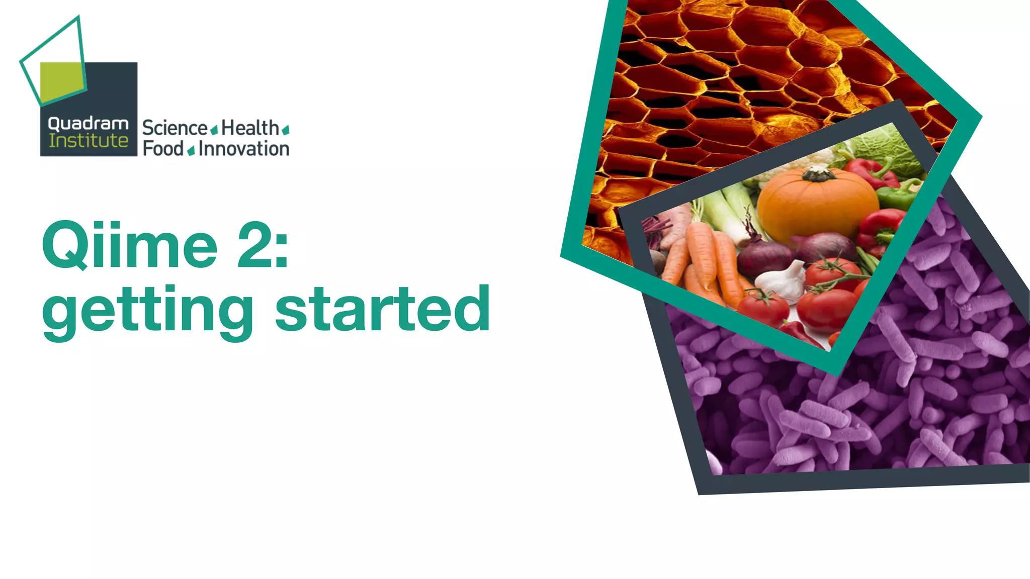 Flash introduction to Qiime2 -- 16S Amplicon analysis | PDF | Biological Sciences | Science