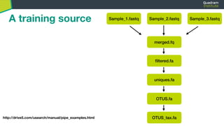 Flash introduction to Qiime2 -- 16S Amplicon analysis | PDF