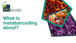 Flash introduction to Qiime2 -- 16S Amplicon analysis | PDF | Biological Sciences | Science