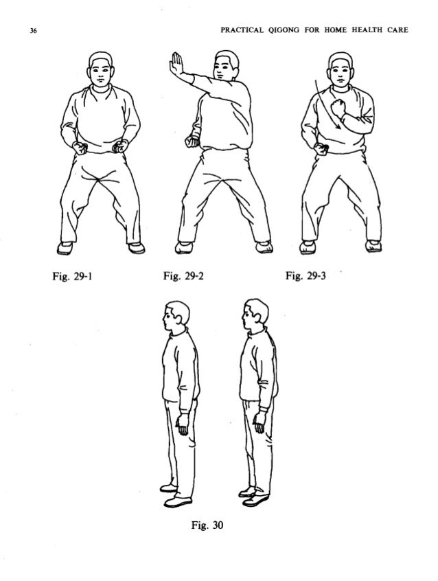 Qi gong chinese qigong for home healing PDF-Book