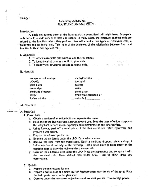 Qii lab3-plant and animal cells | DOC