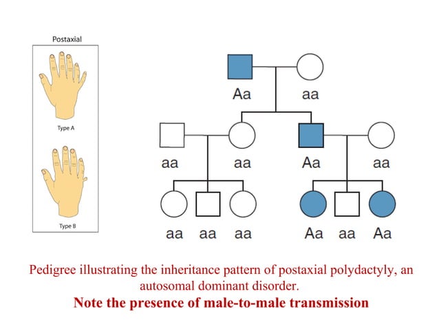 Genetics dentistry inheritance patterns or modes of inheritance | PPT ...