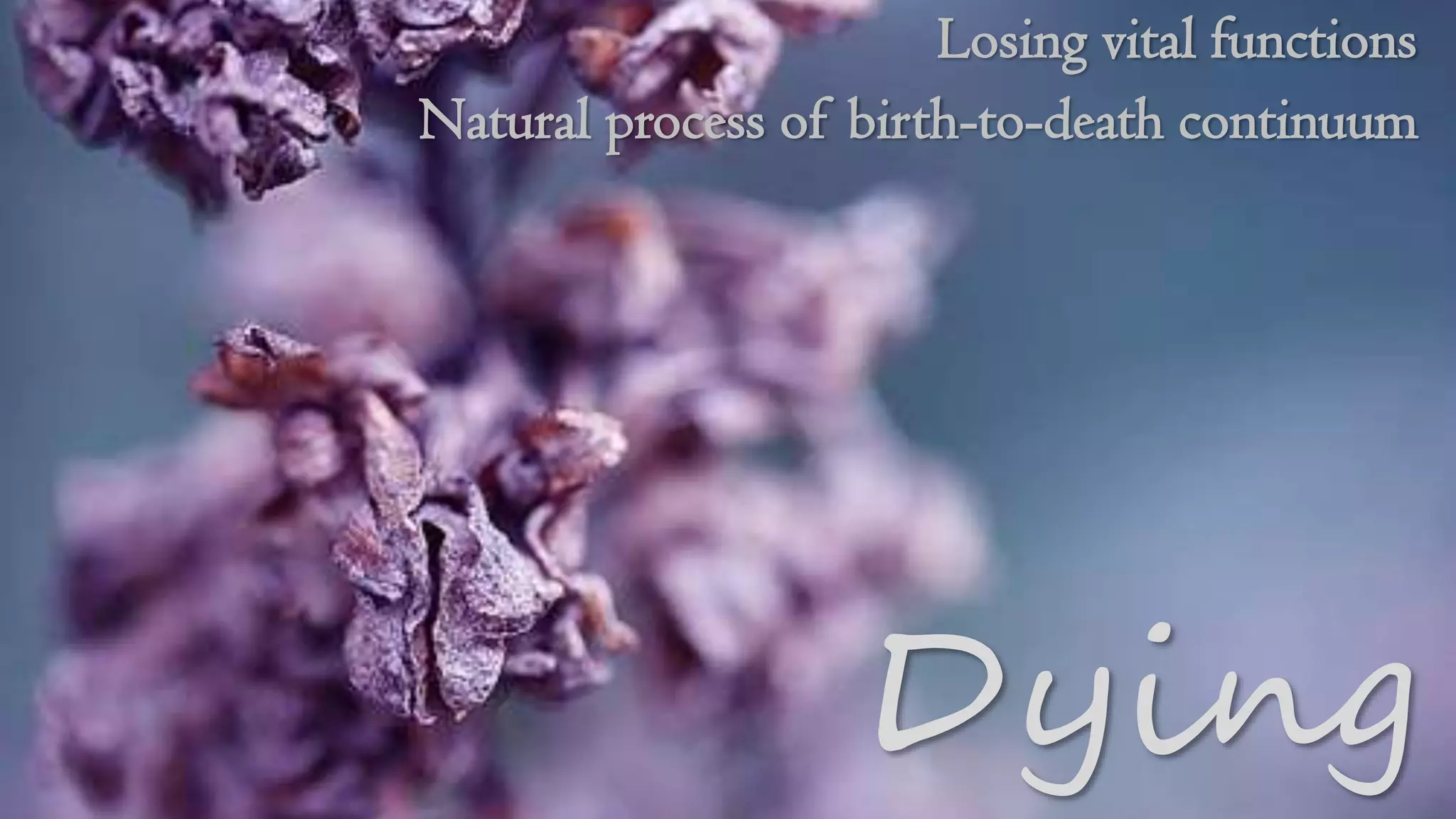 Crisis counseling ii chapter 8 - deth and dying | PPTX