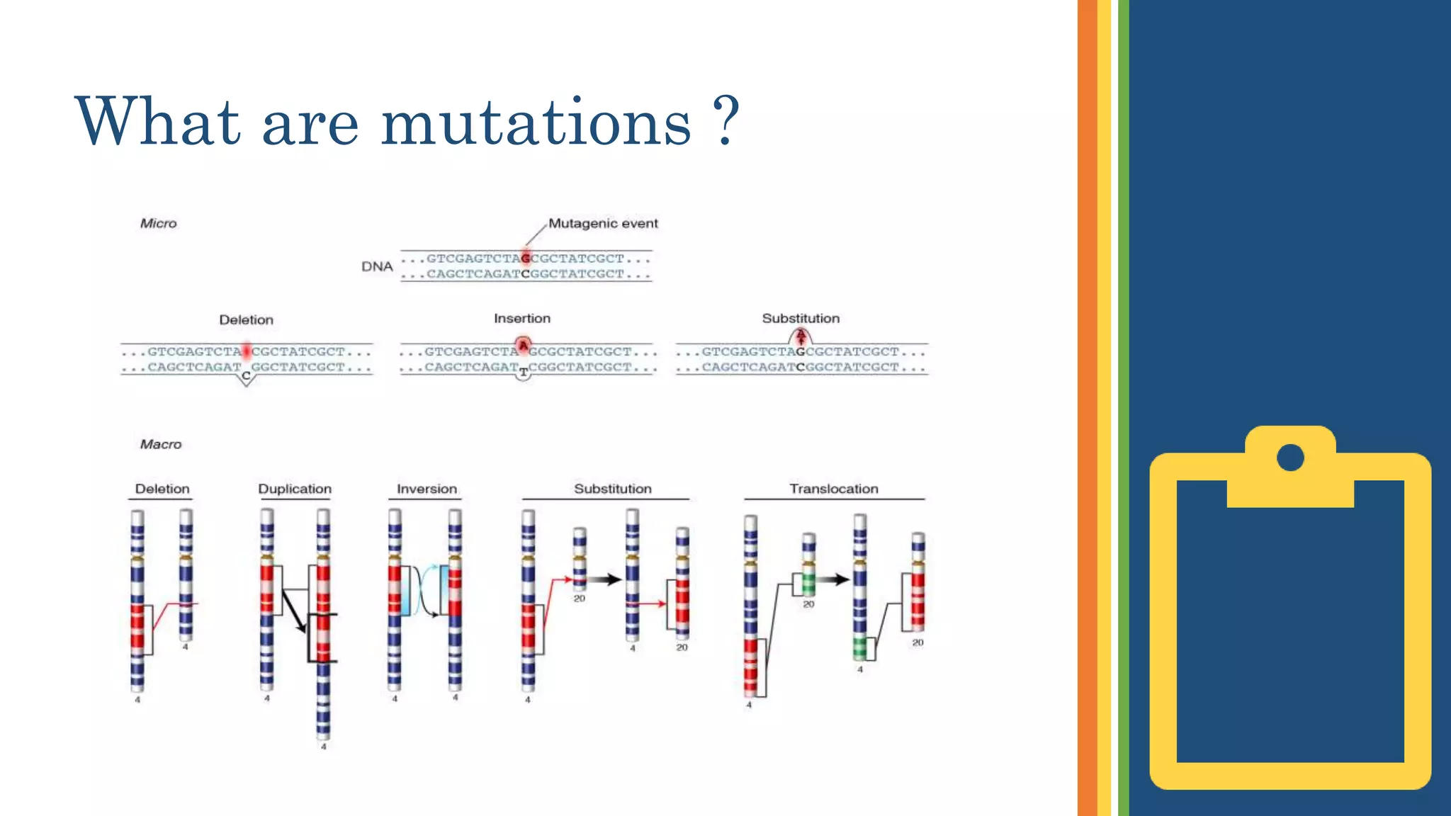 Mutation__genetic_diseases.pptx