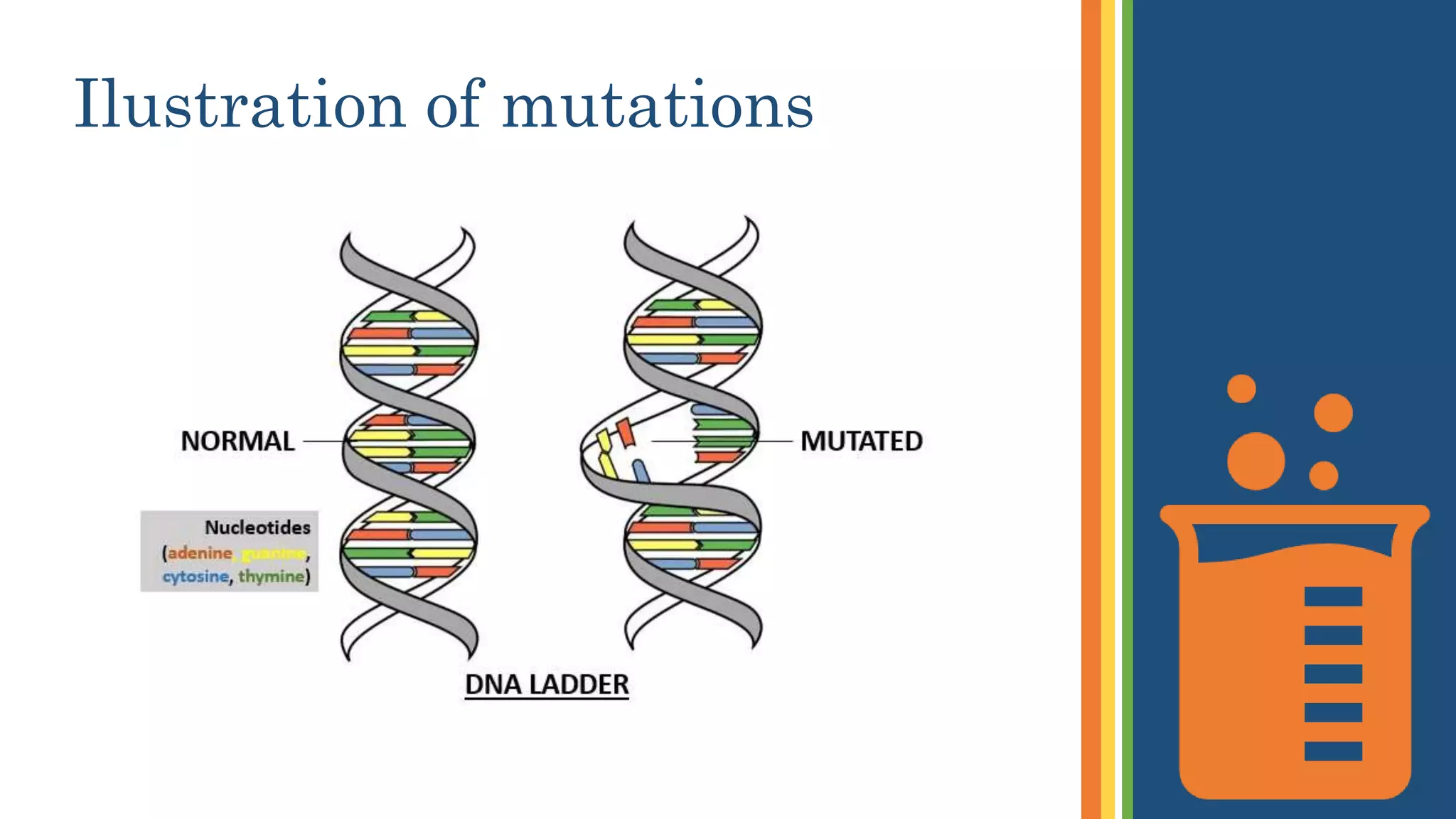 Mutation__genetic_diseases.pptx