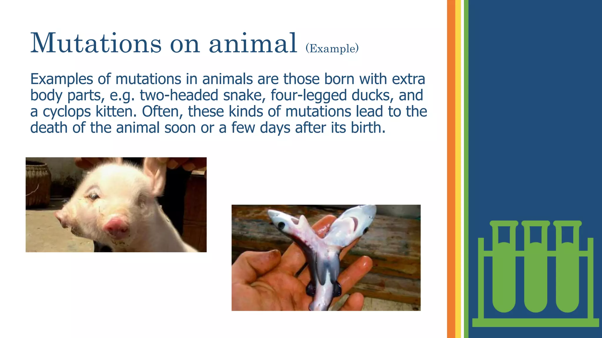 Mutation__genetic_diseases.pptx