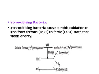 Share_Nutritional_types_of_microorganisms.pptx