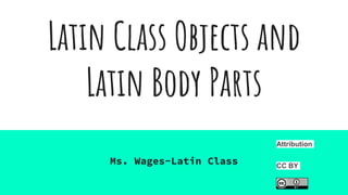 Wages Latin class objects&Latin body parts slide show lesson | PPTX