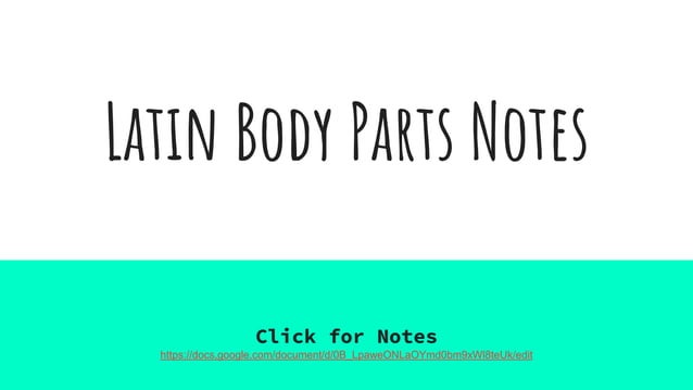 Wages Latin class objects&Latin body parts slide show lesson | PPT