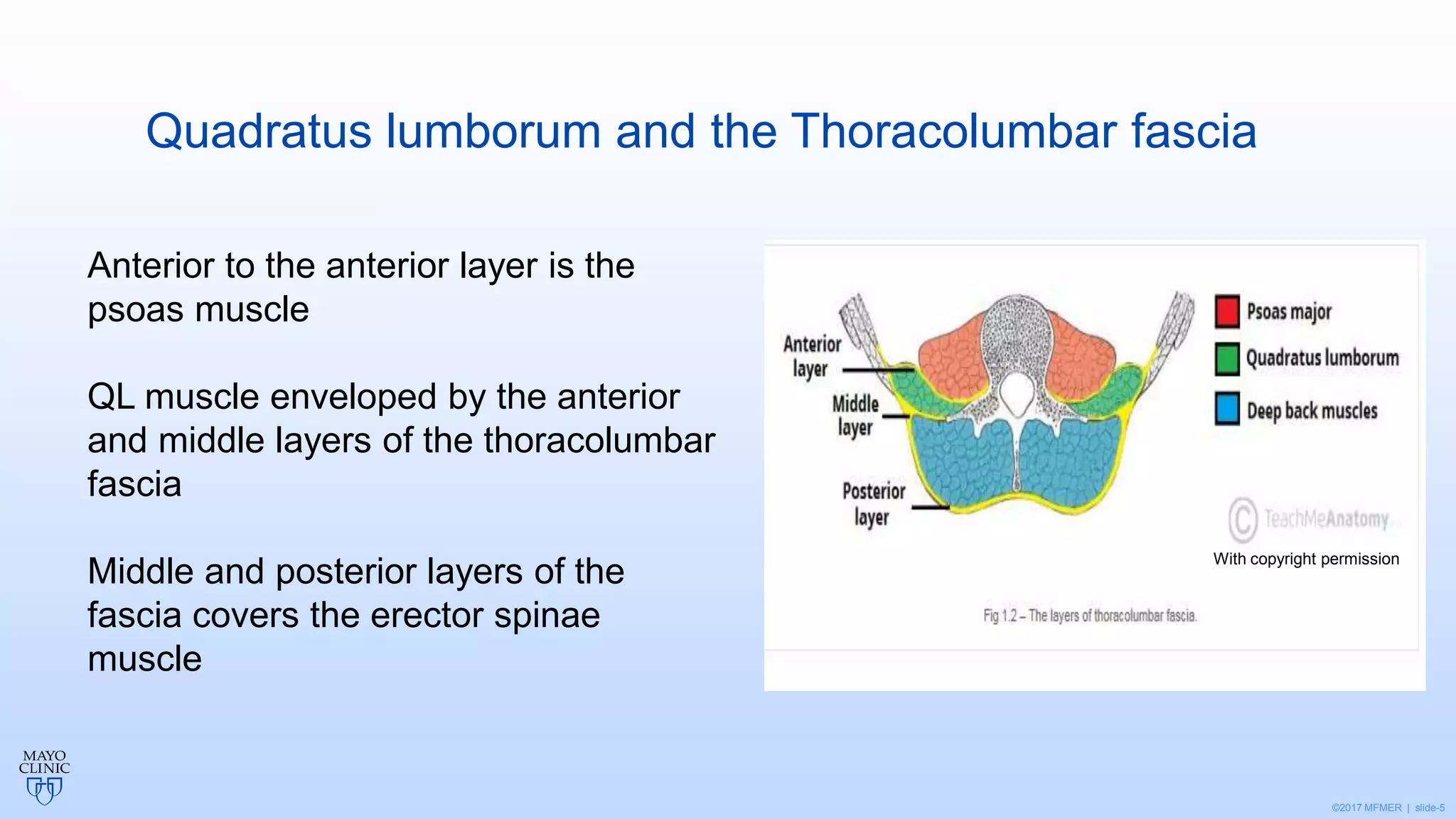 Quadratus Lumborum Block - Dr. V Koyyalamudi | PPTX