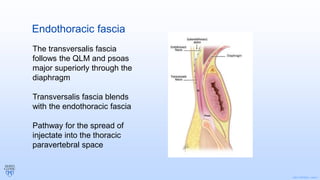Quadratus Lumborum Block - Dr. V Koyyalamudi | PPTX