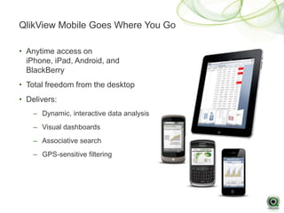 Qlikview Ipad