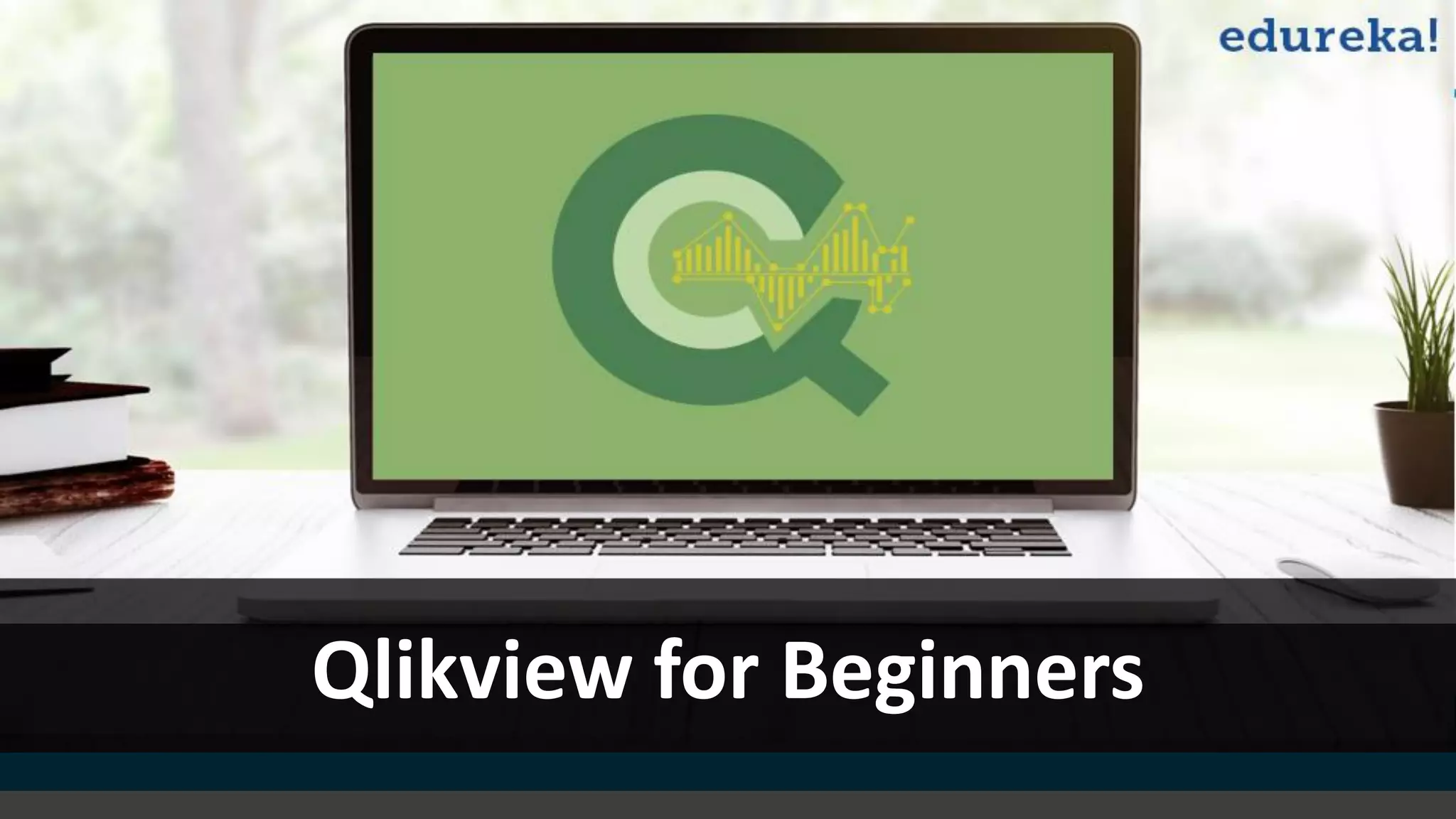 Qlikview for Beginners | PDF