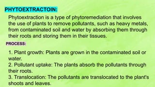 PHYTOREMEDIATION AND MECHANISMS OF PHYTOREMEDIATION | PPTX