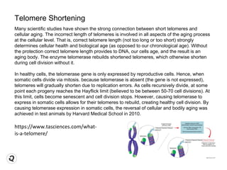 Role of AI in Longevity | PPT
