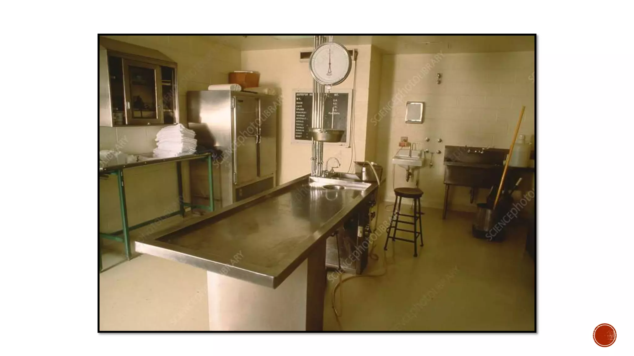 Introduction_and_principles_of autopsy | PPTX