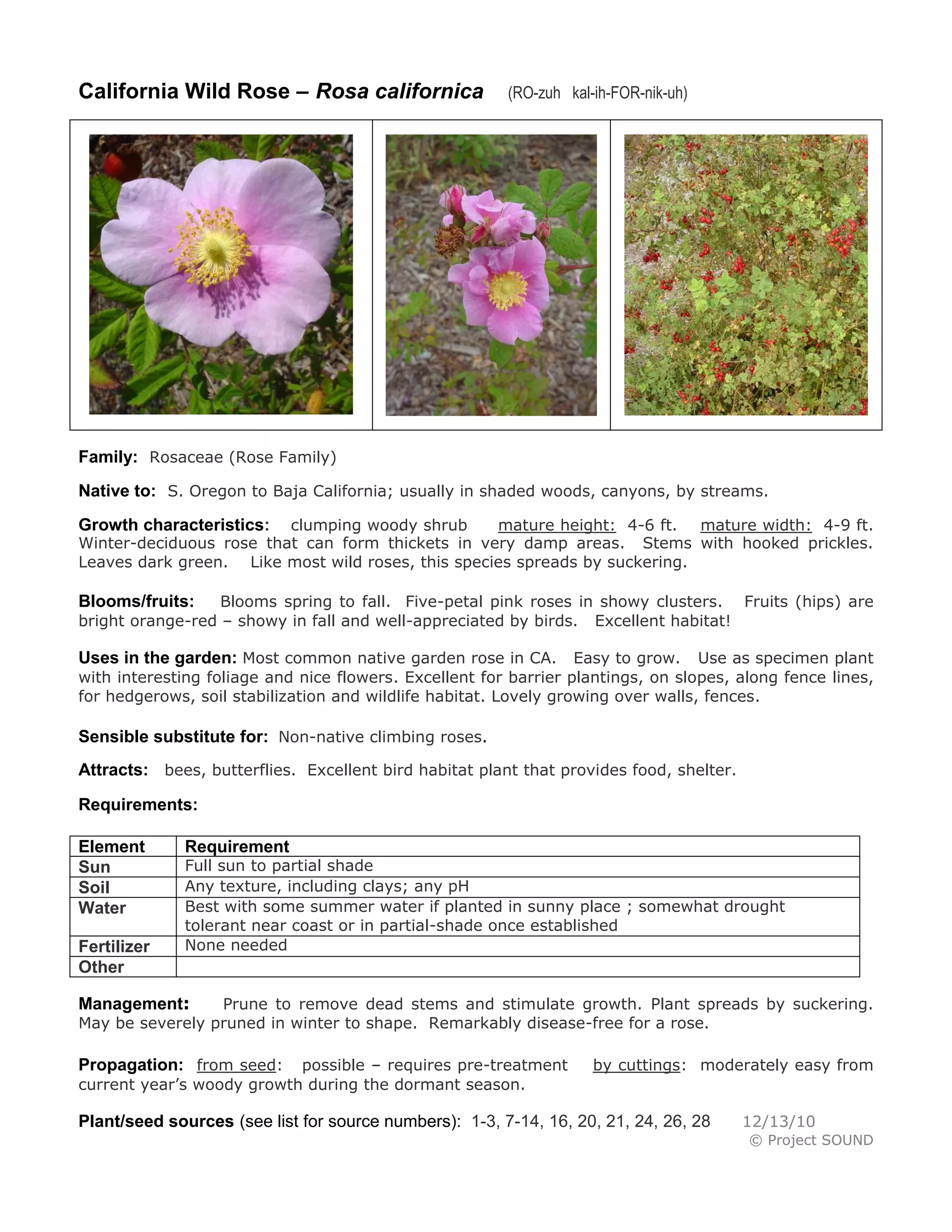 Qm rosa californica | PDF