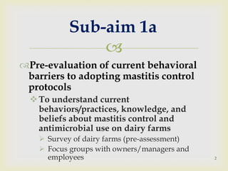 Quality Milk Alliance Focus Groups | PPT