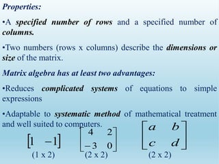 Matrices and Determinants | PDF