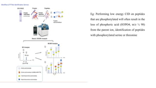QUADRUPOLE MASS ANALYZER | PPTX