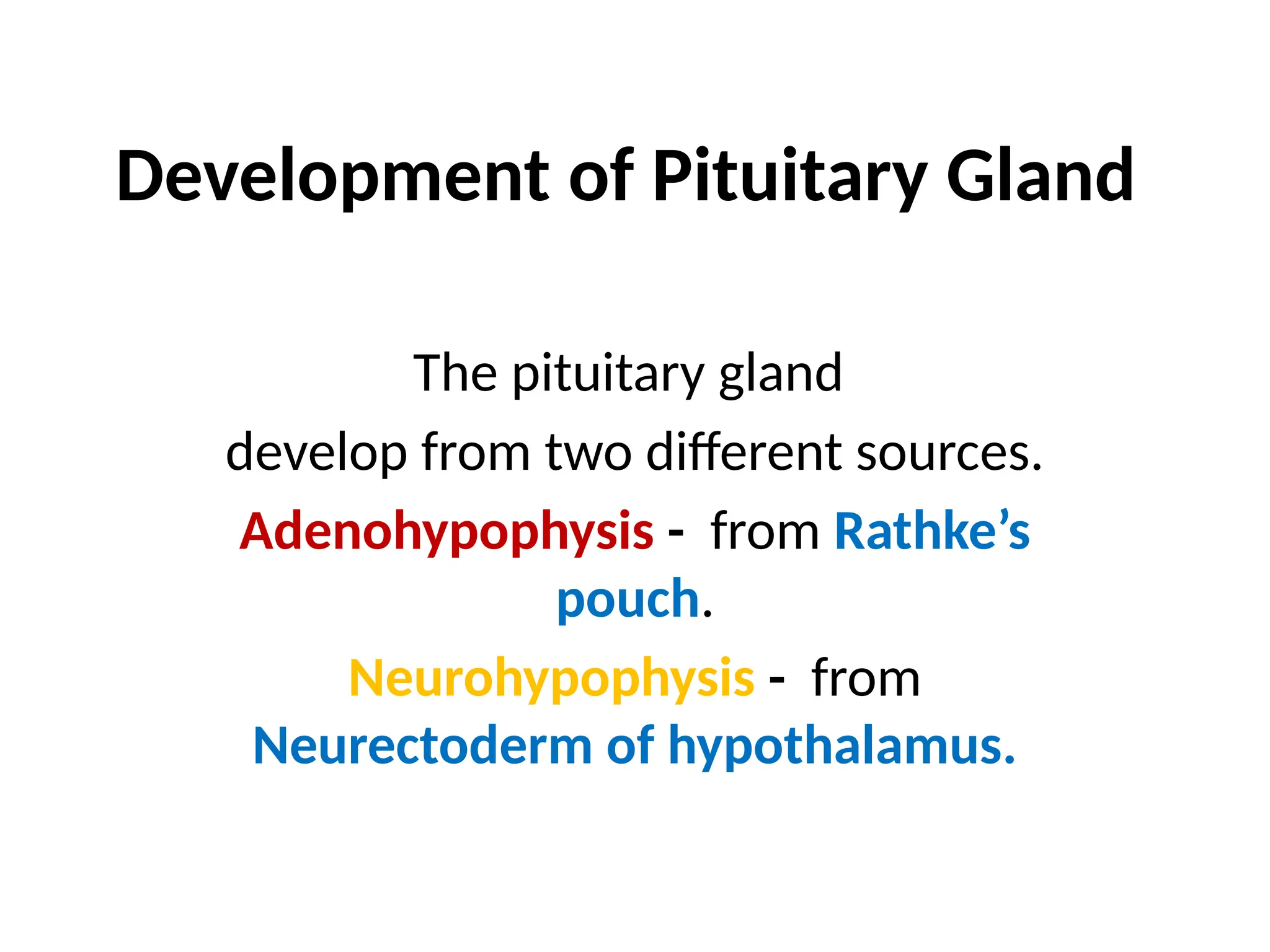 pituitary_devp.pptx....................... | PPTX