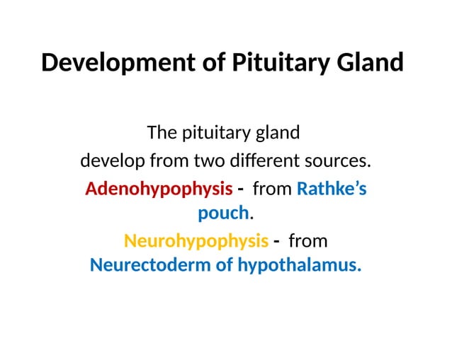 pituitary_devp.pptx....................... | PPTX