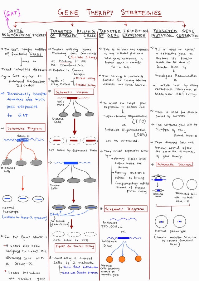 Concept of Gene therapy handwritten .pdf