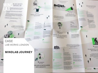 Mindlab: An Introduction - Væring | PPT