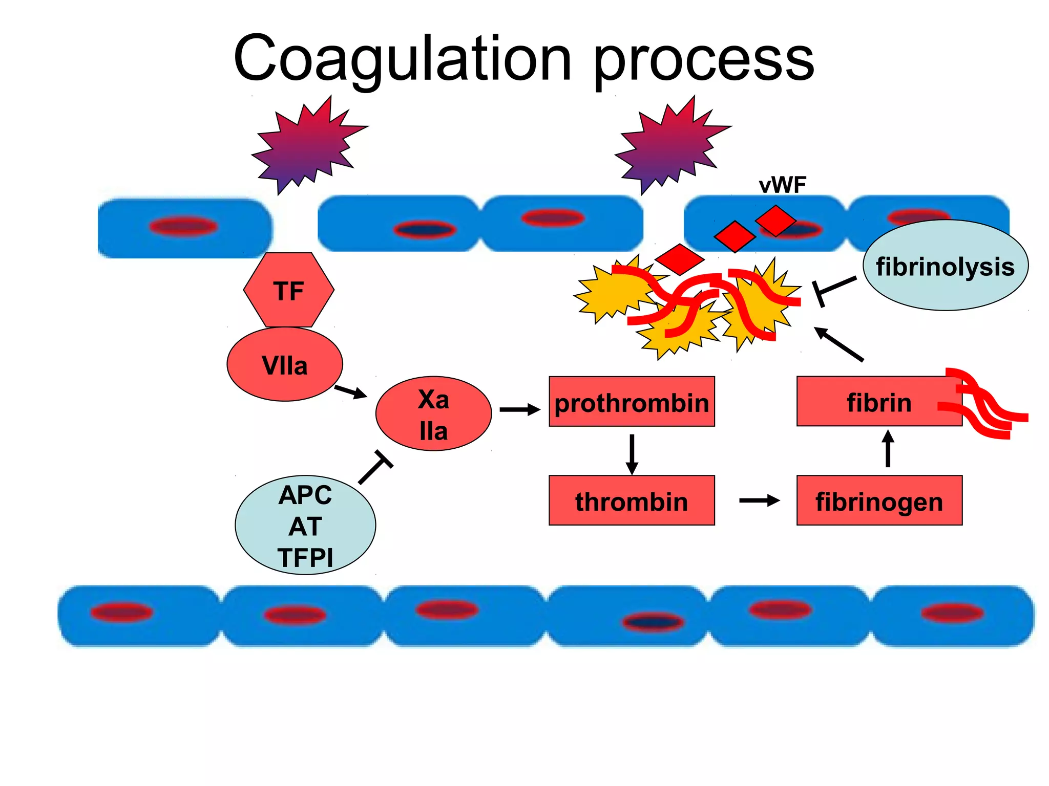 Hyper- and hypocoagulopathy in sepsis, the dos and don'ts - Nicole ...