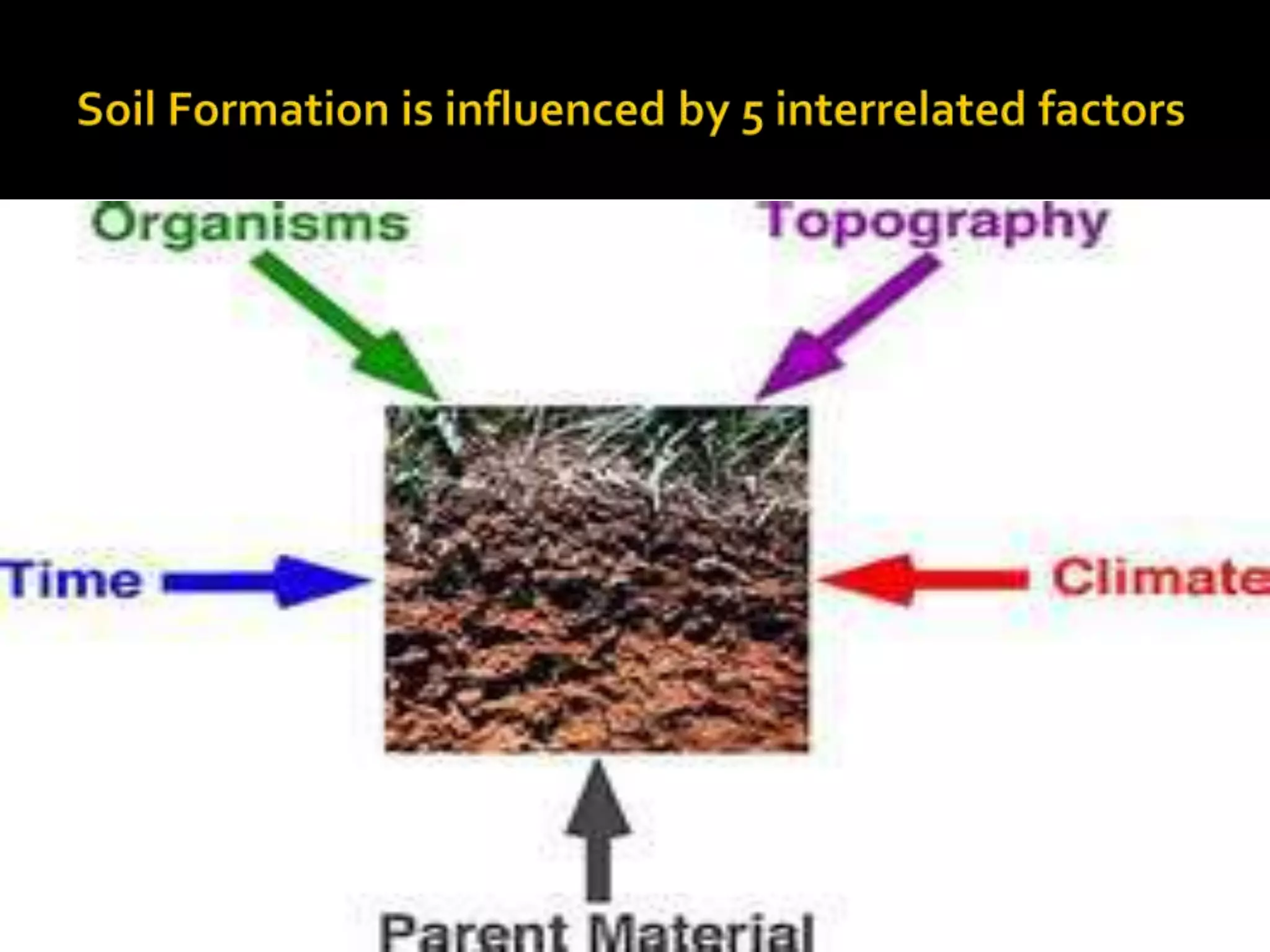 Soil and its types | PPTX