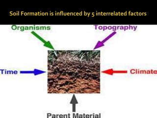 Soil and its types | PPTX