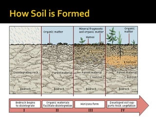 Soil and its types | PPTX
