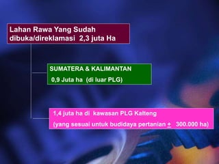 Pengelolaan berkelanjutan lahan_sawah_-_copy | PPT