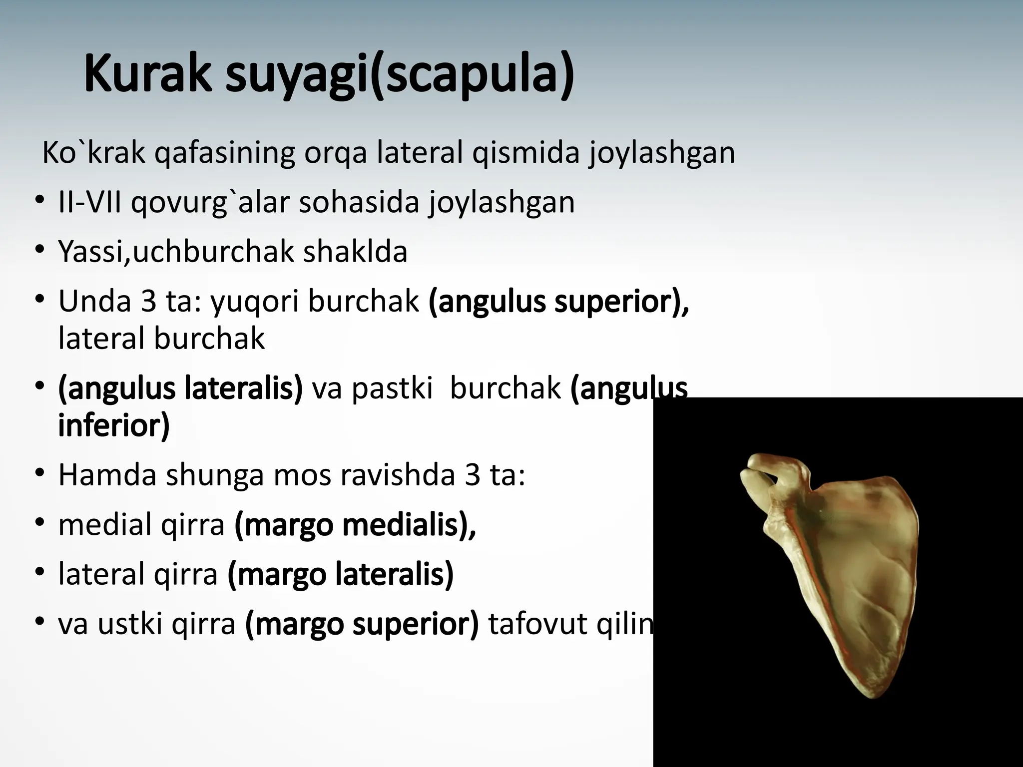 Qo‘l suyaklari222222 _ @Anatomiya_uz.pptx