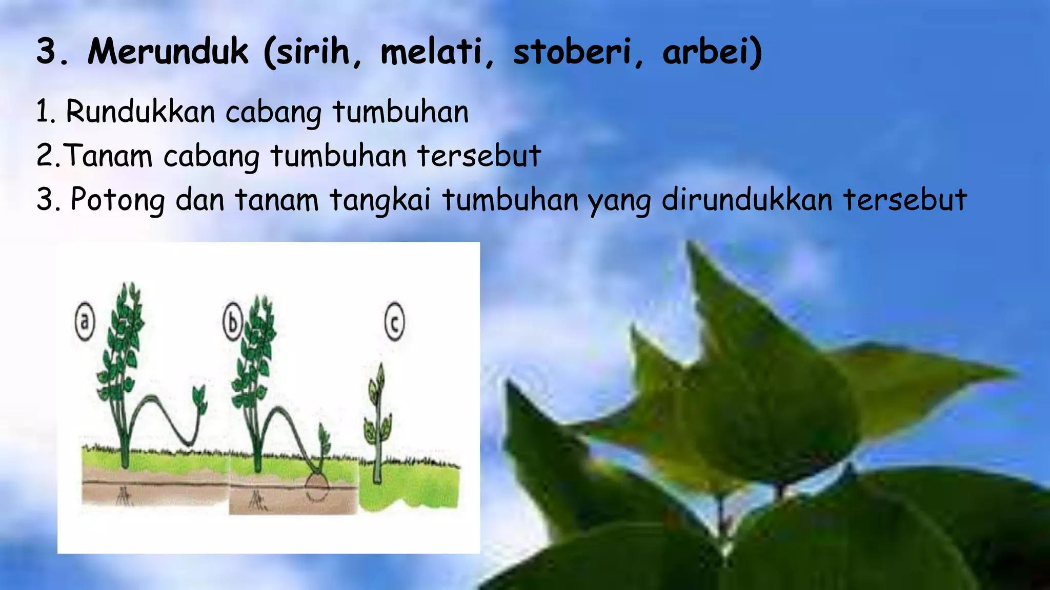 Jumat 14 agst_20_(tema_1_sub_tema_4) | PPTX