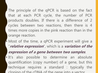 Qpcr | PPTX