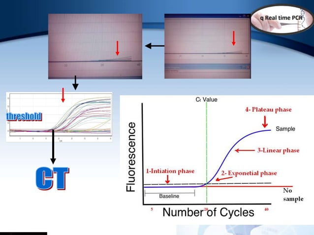 Real-time PCR.ppt