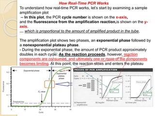 real-time PCR .... by aqee-lhadithe - sem iv | PPTX