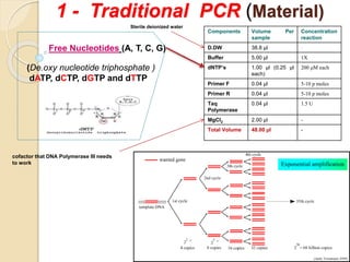 real-time PCR .... by aqee-lhadithe - sem iv | PPTX