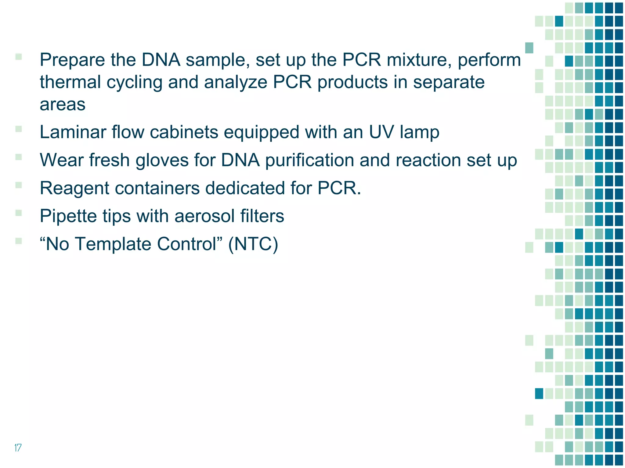 Real Time PCR | PPTX
